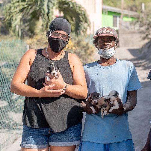 VSPCA – Pink House